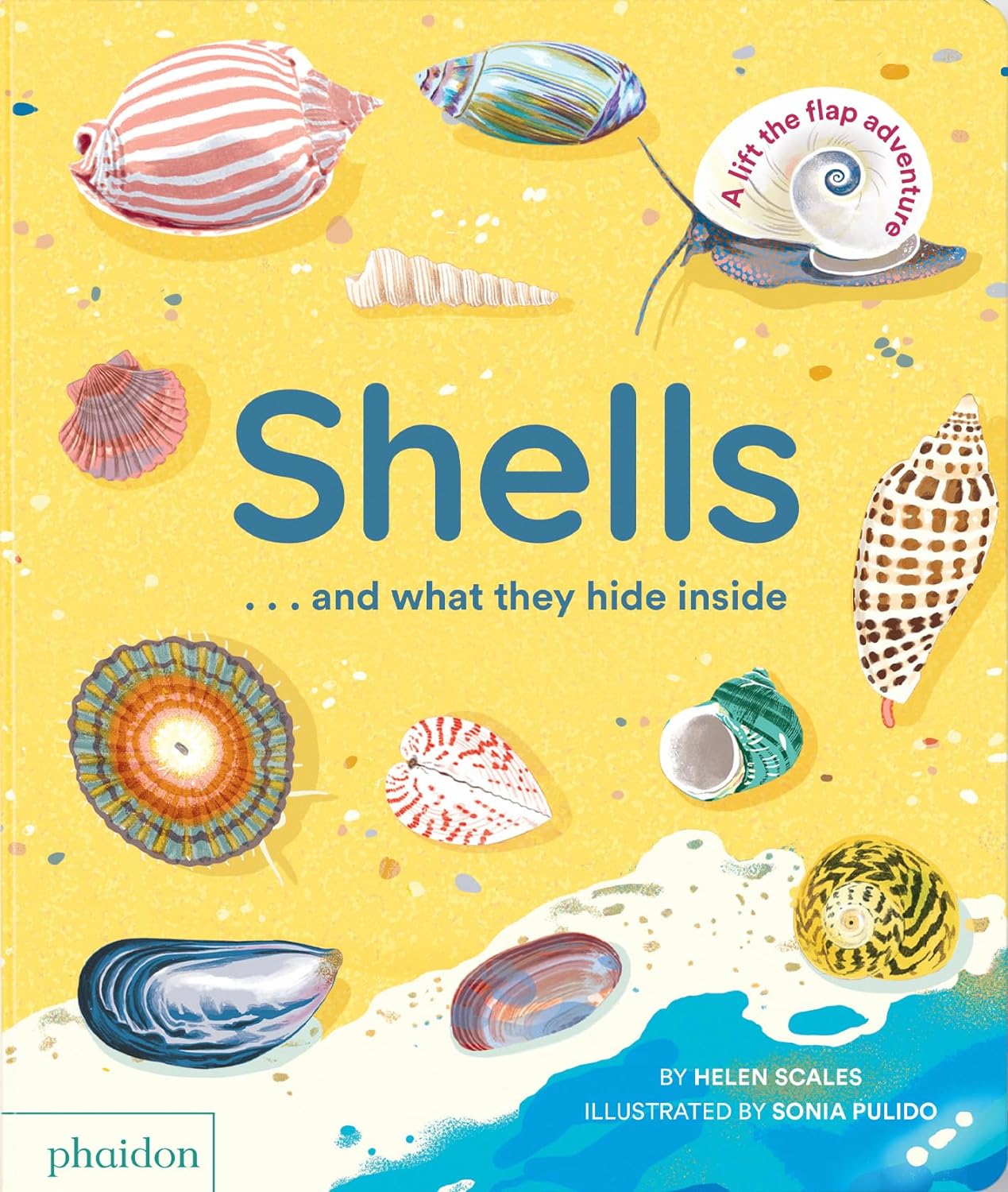 Shells... and what they hide inside: A Lift-the-Flap Adventure – Bumps ...